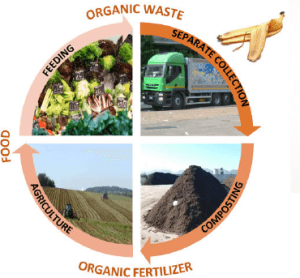 Circular Economy in Italy - Consorzio Italiano Compostatori