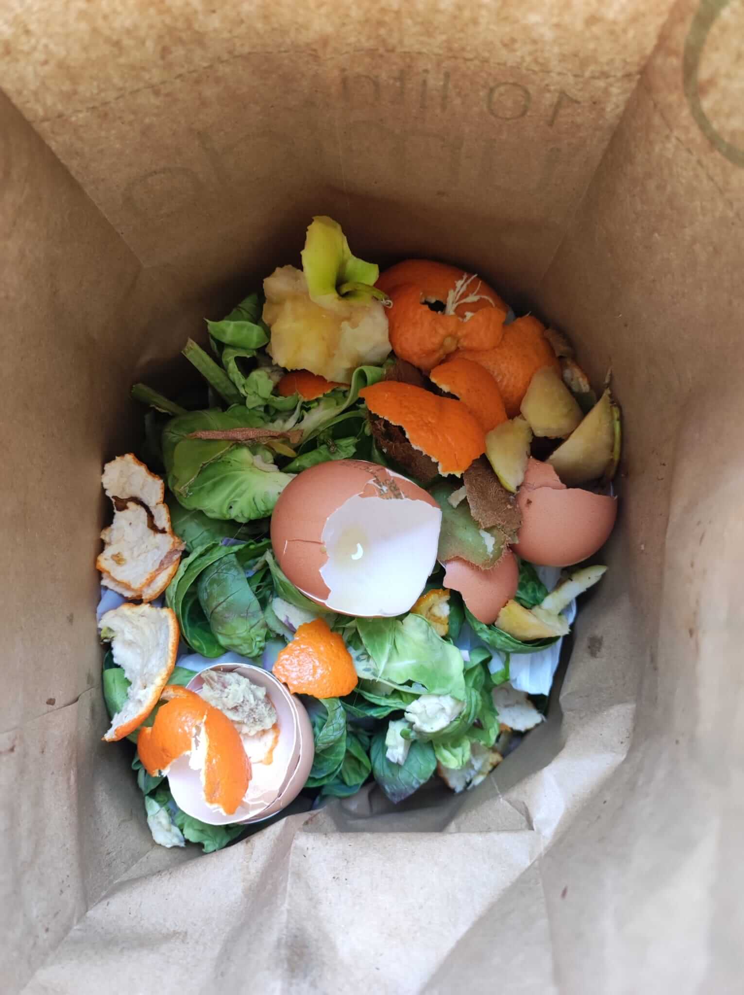 Come raccogliere lo scarto umido di qualità - Consorzio Italiano ...