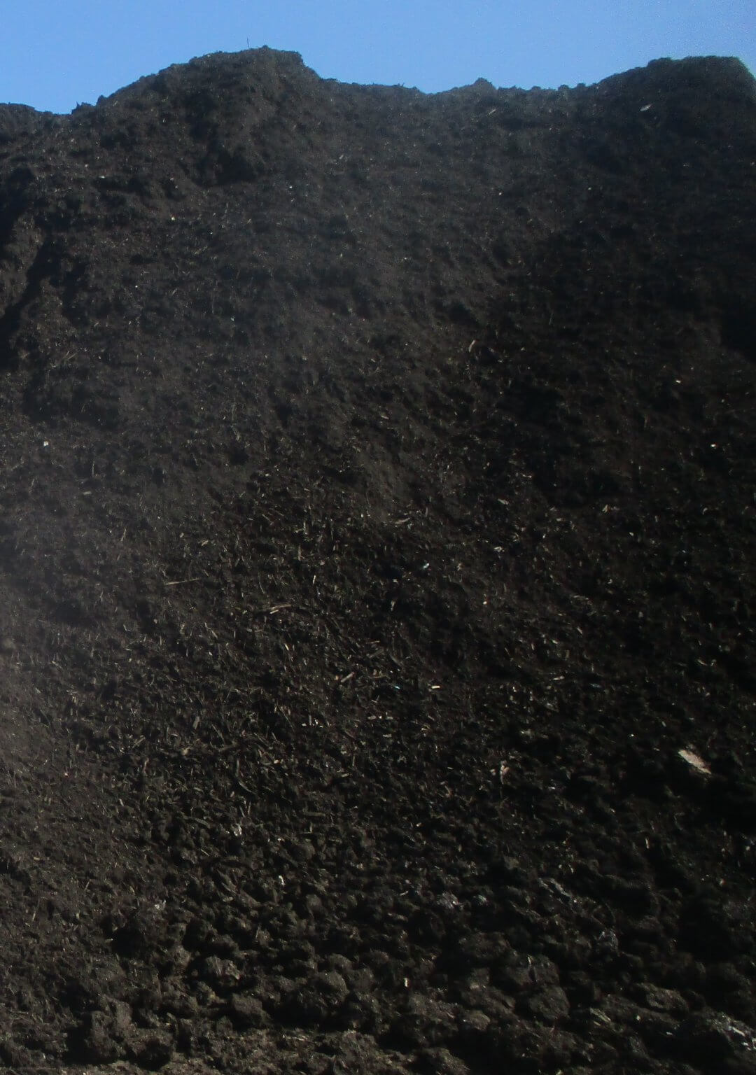 Cos'è il Compost - Consorzio Italiano Compostatori